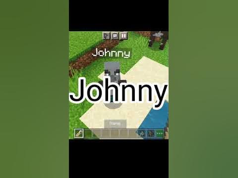 Vindicator Johnny 😆🔪 Minecraft Easter Egg🥚 - YouTube