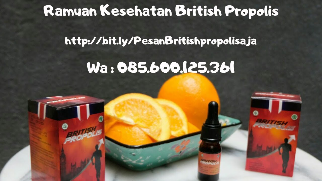 cara minum british propolis untuk promil - YouTube