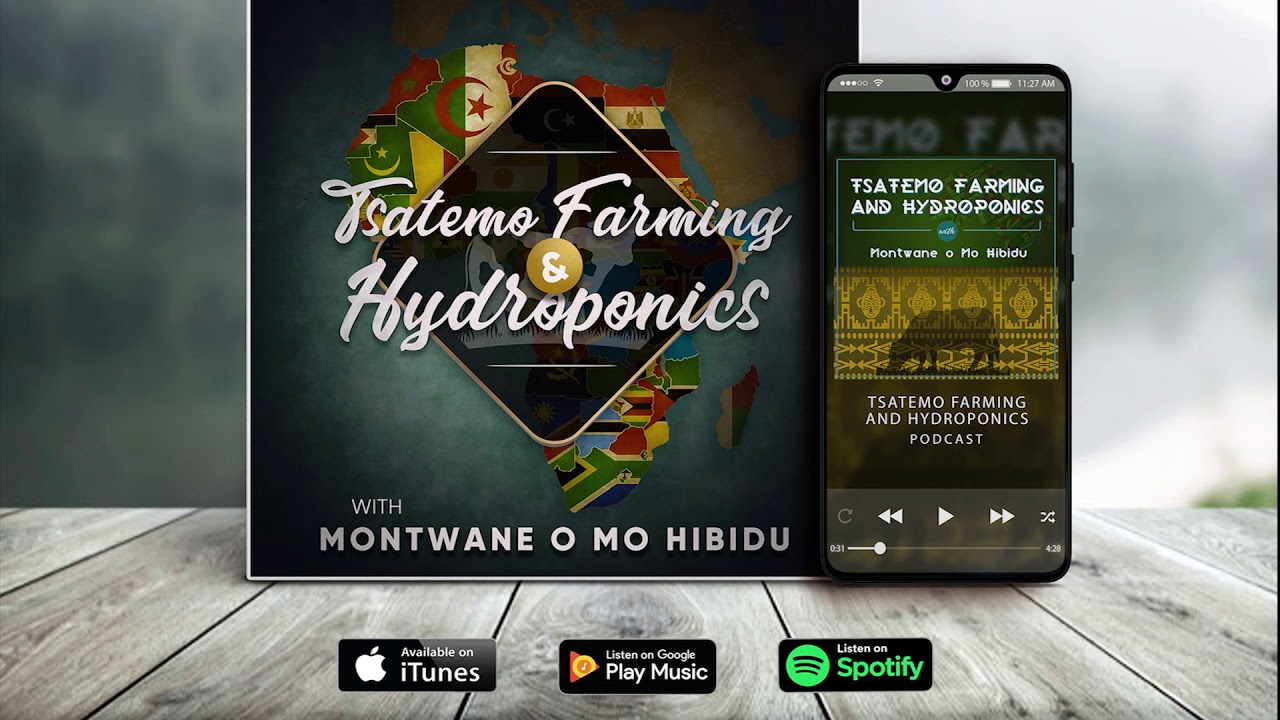 Episode 1 Tsatemo Farming with Hydroponics Interview with Mr Fred Eboka ...