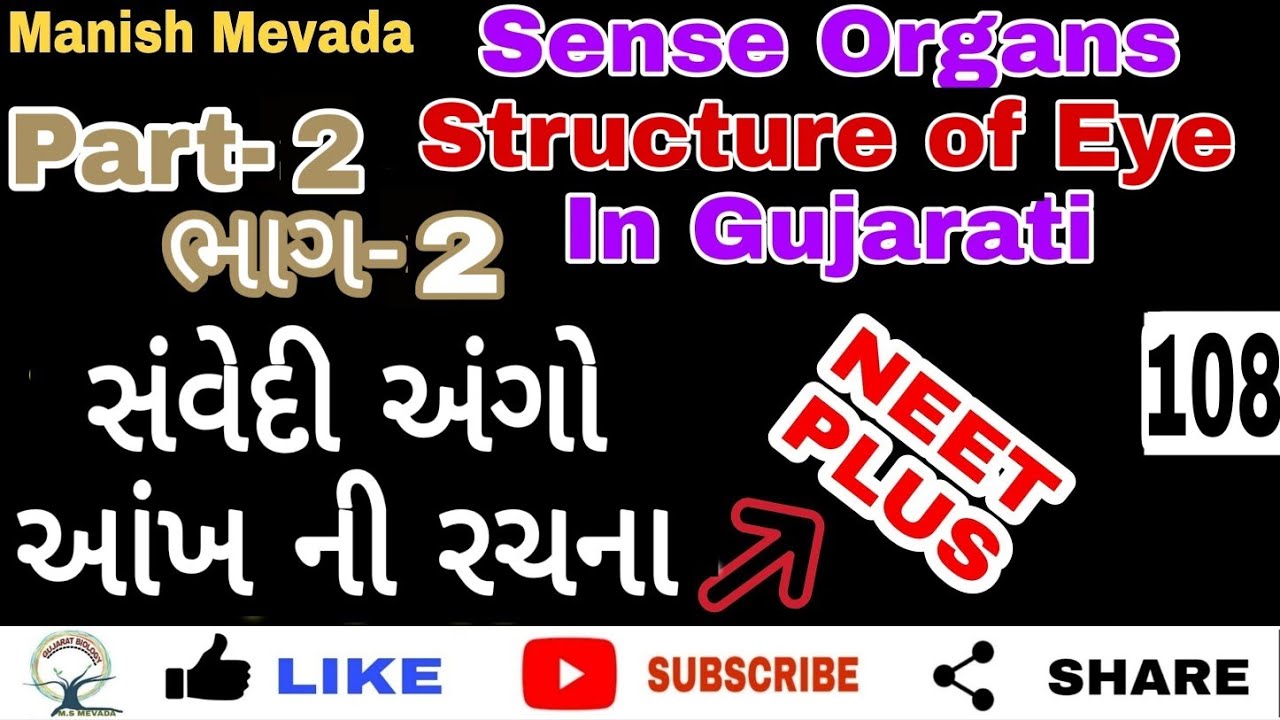 Sense Organs Structure Of Eye In Gujarati Part 2 sense-organs-structure-of-eye-in-gujarati-part-2
