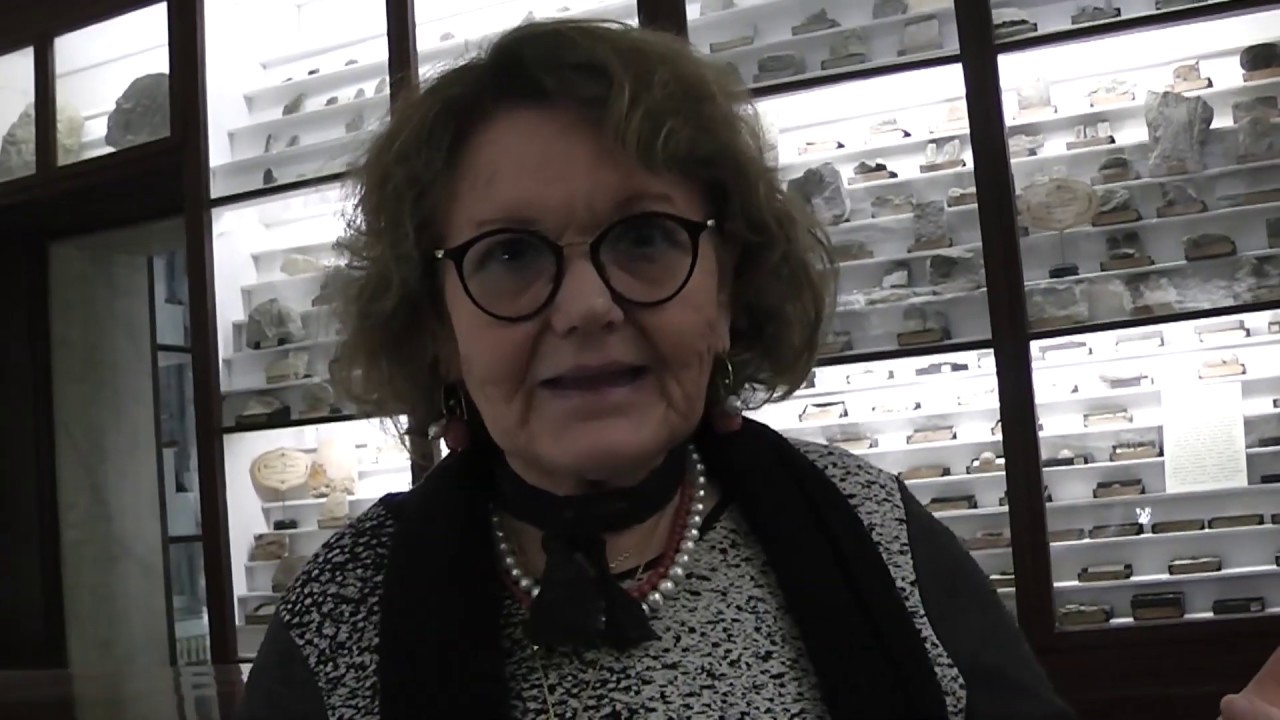Dr. Sonia Baccetti: l'Agopuntura Integrata nella Regione Toscana - YouTube