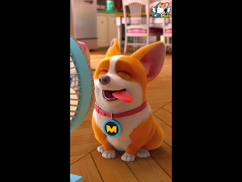 MOCO and YUMMY🐶 | A Fight for the Fan 風扇爭奪戰 | Flying MOCO Shorts 爆笑飛狗 ...