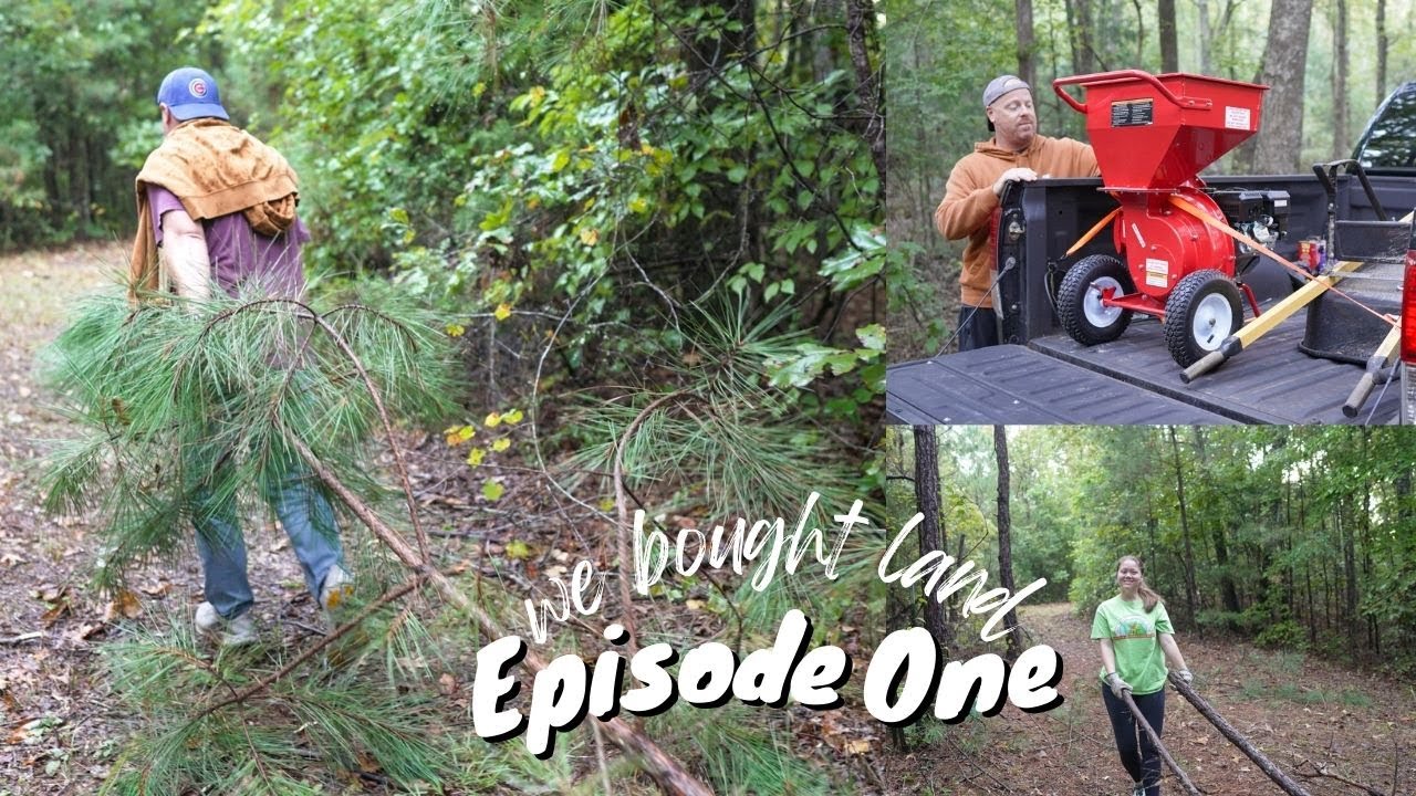 We Bought Land | Episode 1 - YouTube