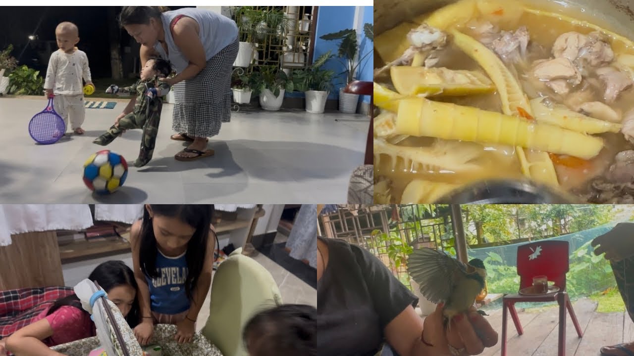 Ghar mai bird 🦅 🦢aya bacha party itna kusi🤗🫶😍 - YouTube