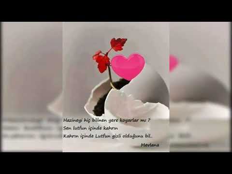 Mevlana Sözleri - Mutluluğu Sende Bulan Senindir Ötesi Misafir...