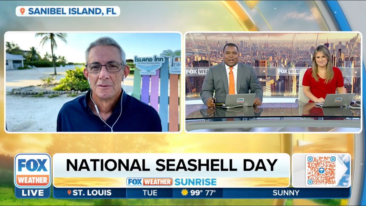Island Inn Sanibel Seashells National Seashell Day 2022 - YouTube