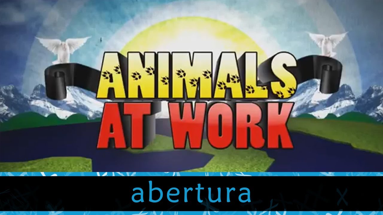 Animals at Work (abertura) - YouTube