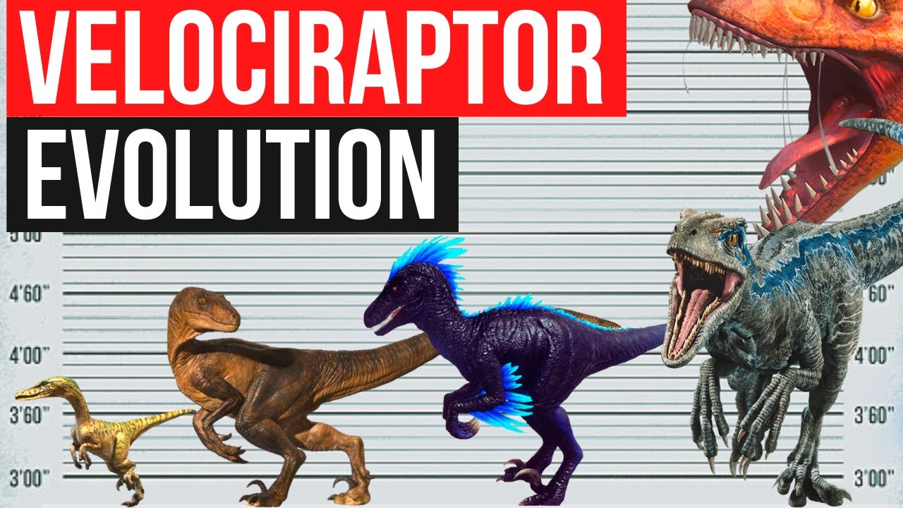 Velociraptor Evolution 1993 - 2022 | Jurassic World Dominion, Jurassic ...