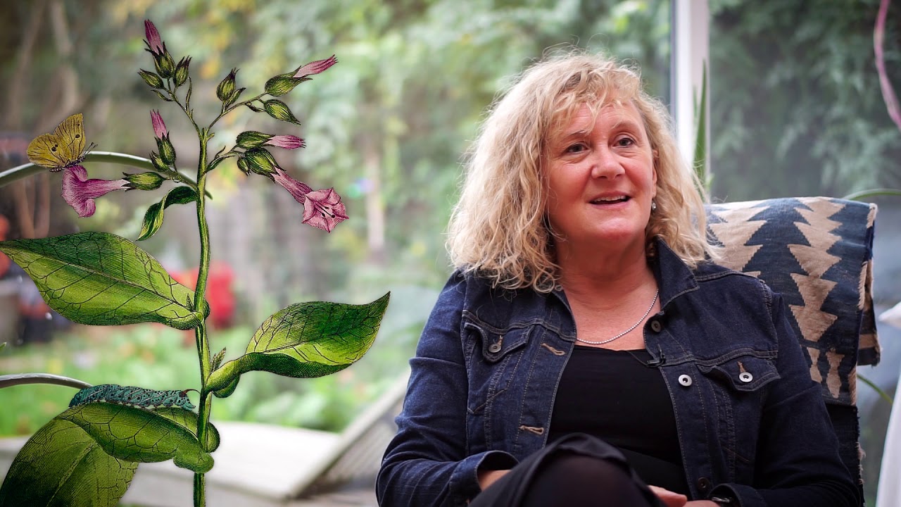 In Conversation with Annie Cattrell - YouTube