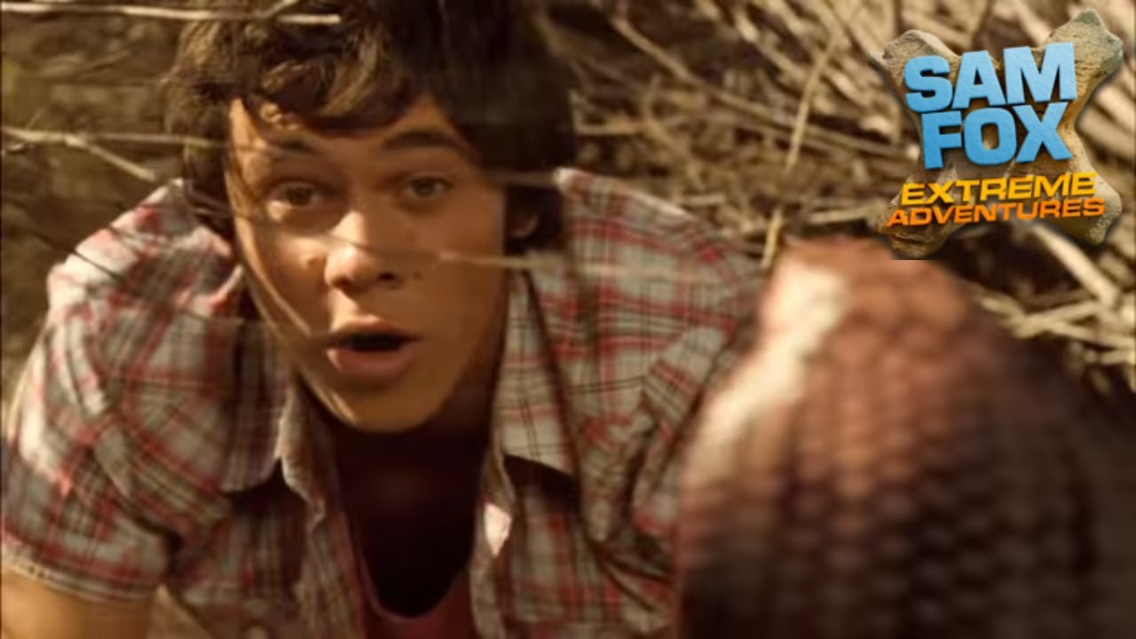 Sam Fox: Extreme Adventures S1 E8: Cobra Combat - YouTube