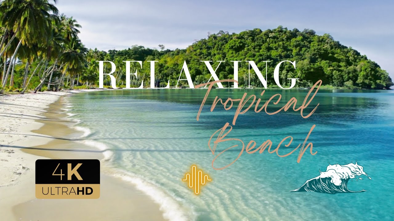 Escape to Paradise | 3 HOURS 4k Tropical Beach Screensaver - YouTube