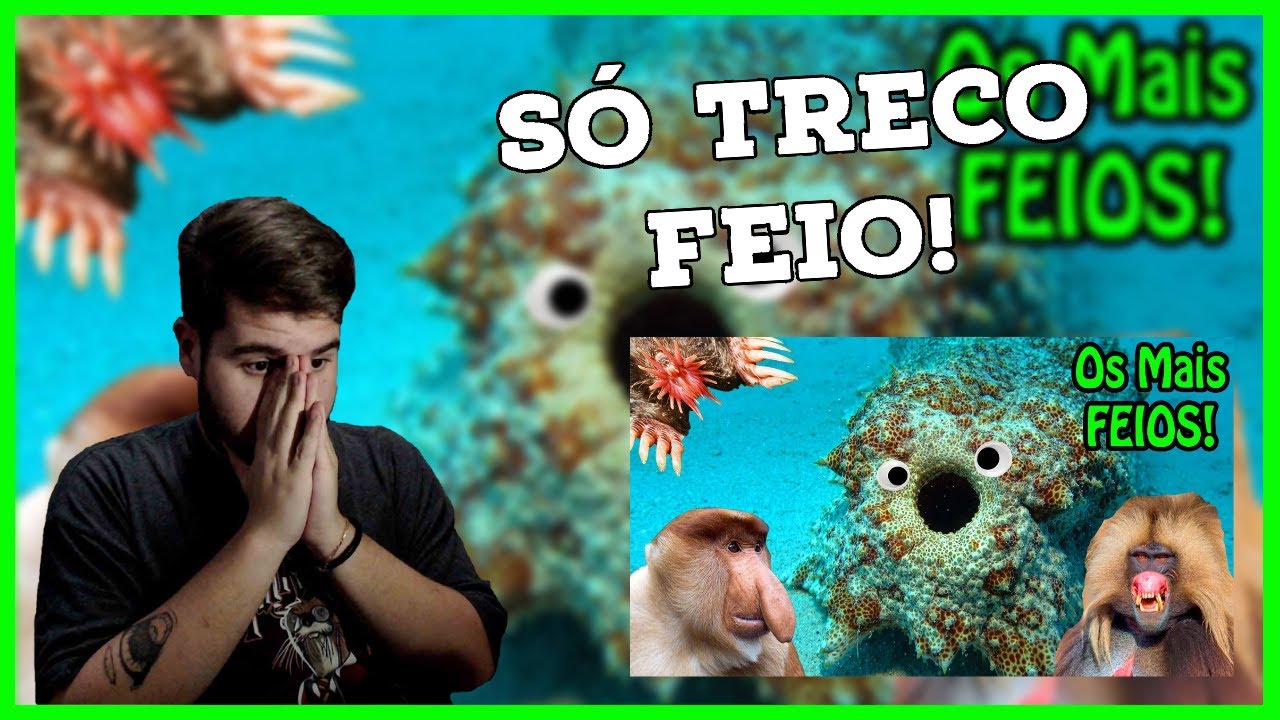 🔴 Os Bichos mais Estranhos e Bizarros do Mundo! Só Bicho FEIO! - Fala ...