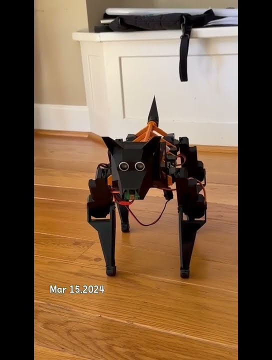 Robotic dog Robert Tang - YouTube