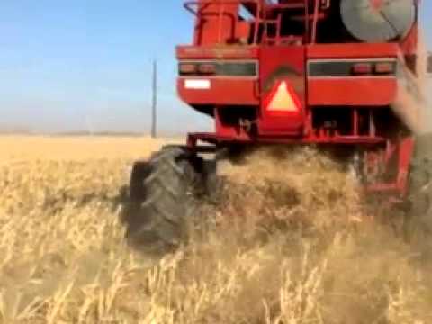 Chaff Buncher - YouTube
