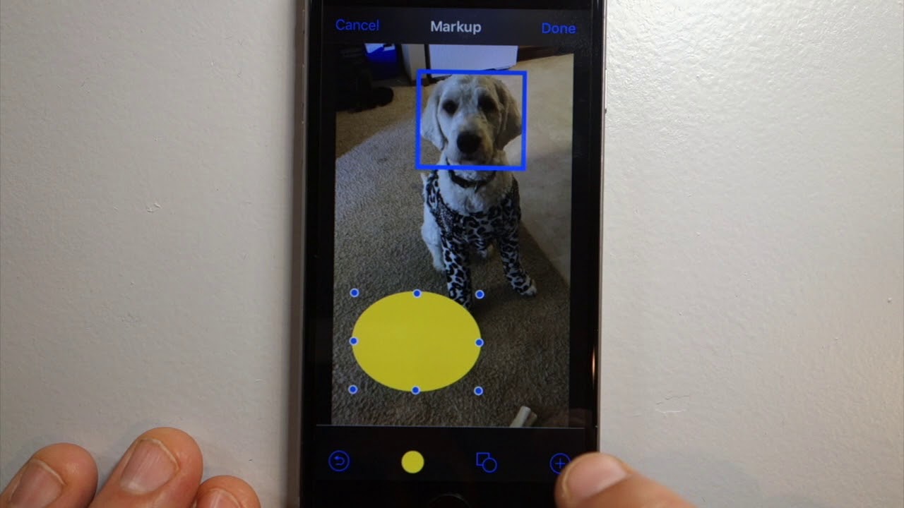 How to draw shapes on your photo using markup tool - YouTube