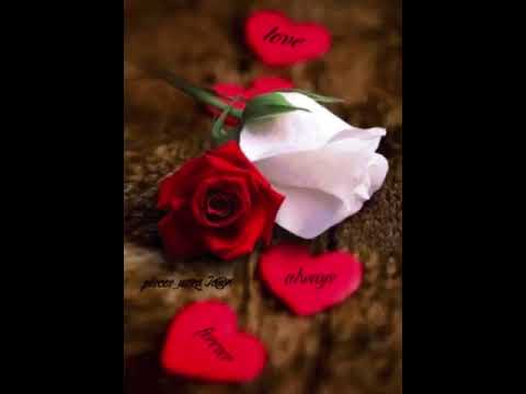 ROSE 🌹 GIF. IMAGE my simple pleasure