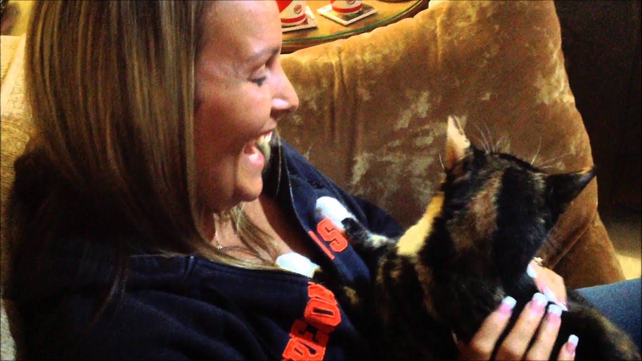 Wife Puts Cat Head In Mouth Youtube
