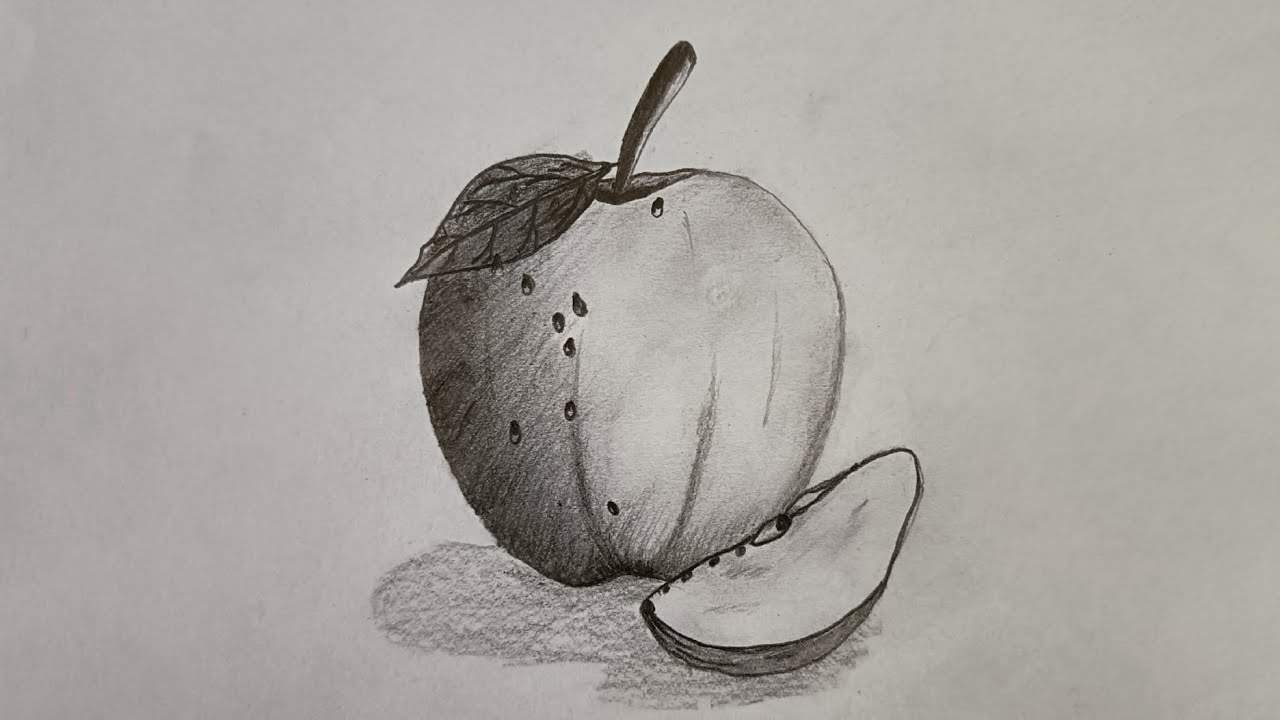 How to draw a apple |How to draw a apple pencil sketch| কীভাবে আপেলের ...