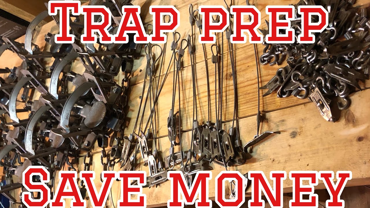 Coyote Trap Preparation / Rigging Earth Anchors - YouTube
