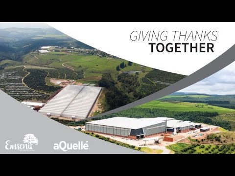 New Emseni Farming Greenhouses and aQuellé Factory - YouTube