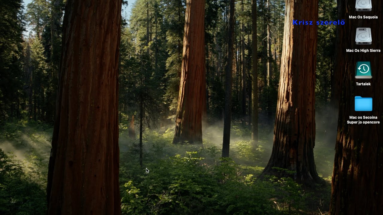 MAC OS X SEQUOIA 15.3 PRO / KONTRA - YouTube