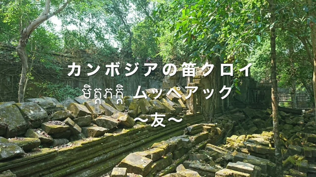 ♬ カンボジアの笛 Khloy 〜friends of cambodia〜 ♬ | 島崎愛子 オフィシャルブログ