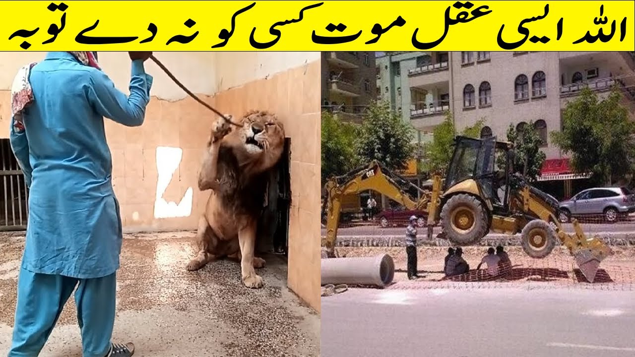 Work Hard Fail Harder II Stupid Workers Funny Mistakes II Bad Day At ...