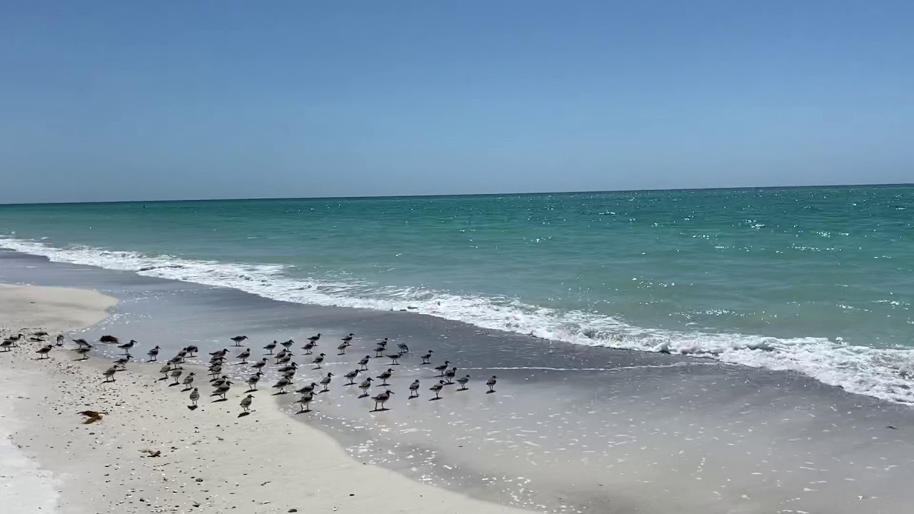 Beach day at Longboat Key FL - YouTube