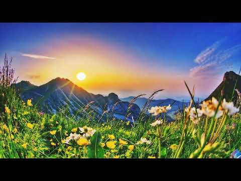 Yüz Rukyesi ; Yüzün Bozulması, Düğümden, Büyüden ve Kıskançlıktan Arındırır.