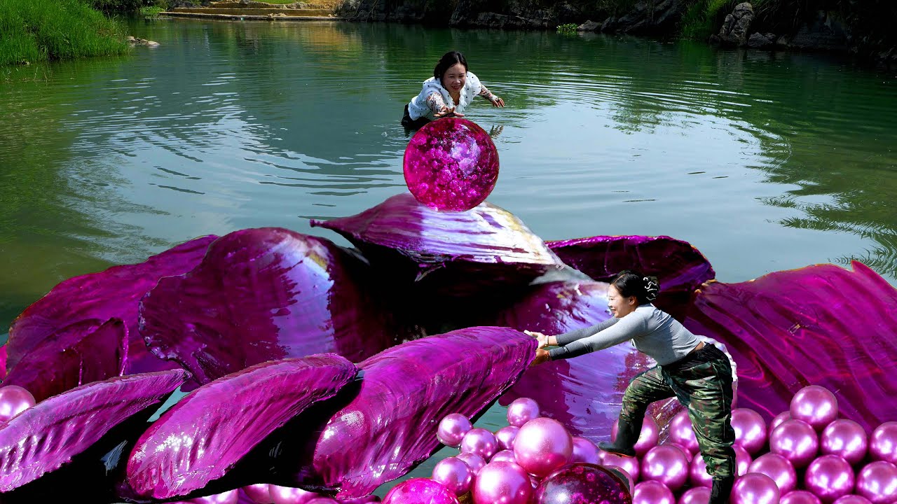 🎁😱😱Pry open the giant purple clam, filled with enchanting purple pearls ...