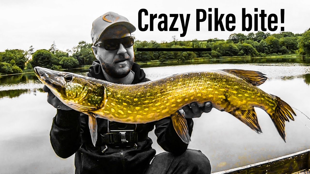 Pike Fish Bite