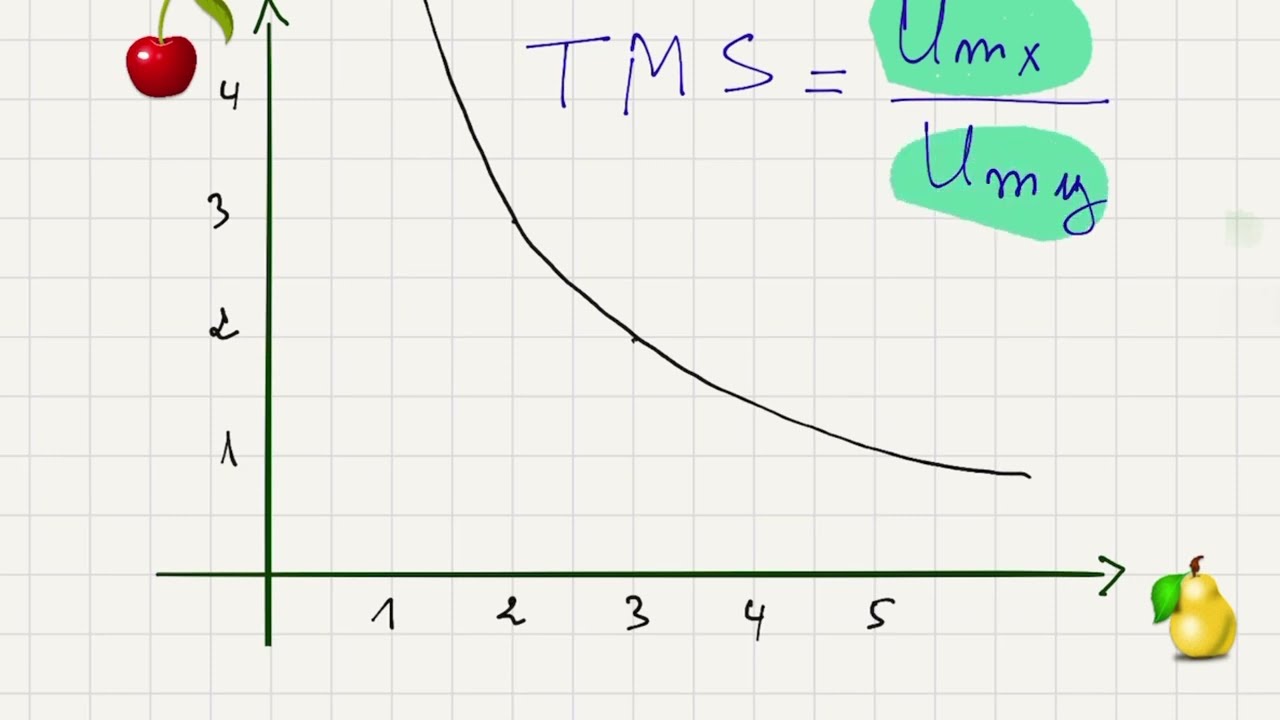 6- Exercice sur le TMS en microéconomie - YouTube