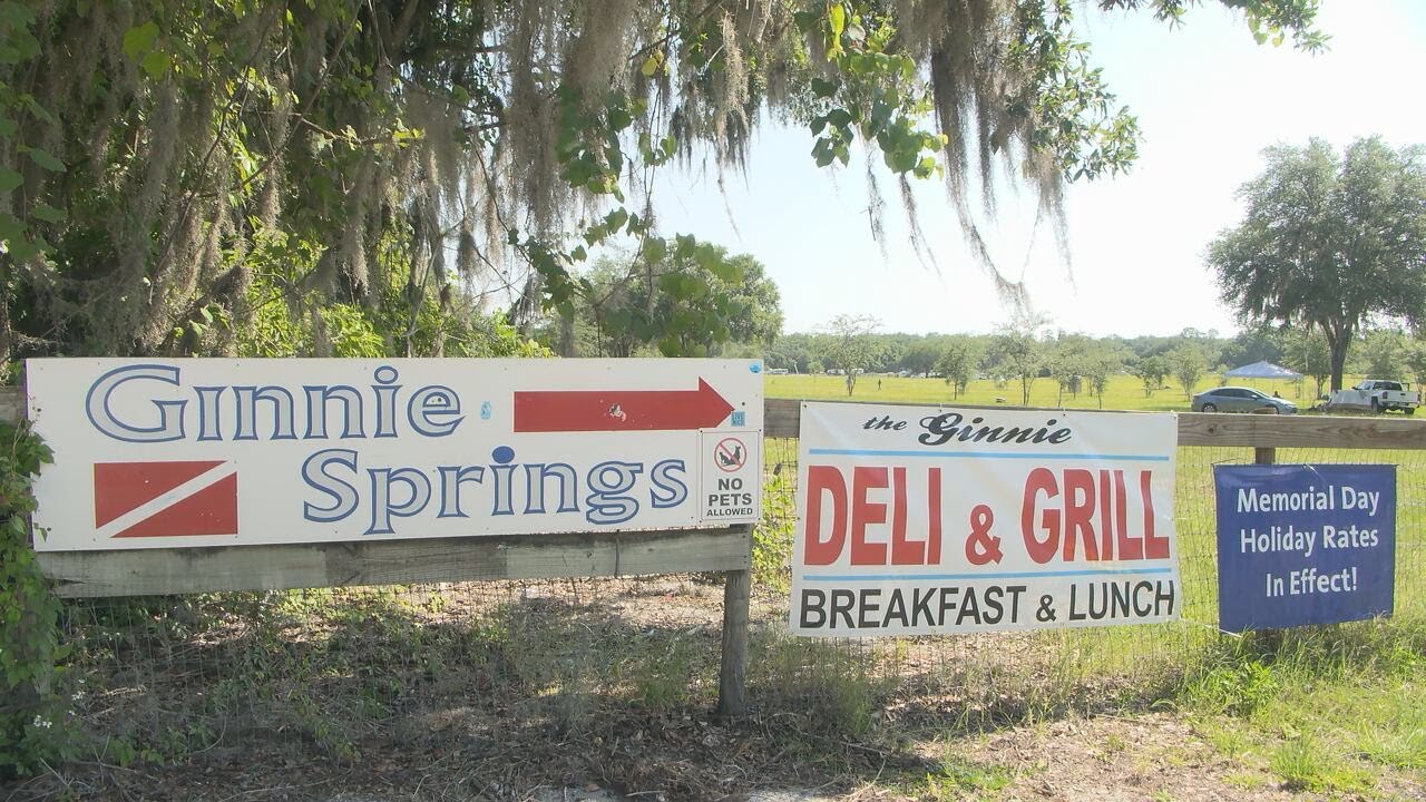 ‘It’s out of control:’ People respond to re-opening of Ginnie Springs ...