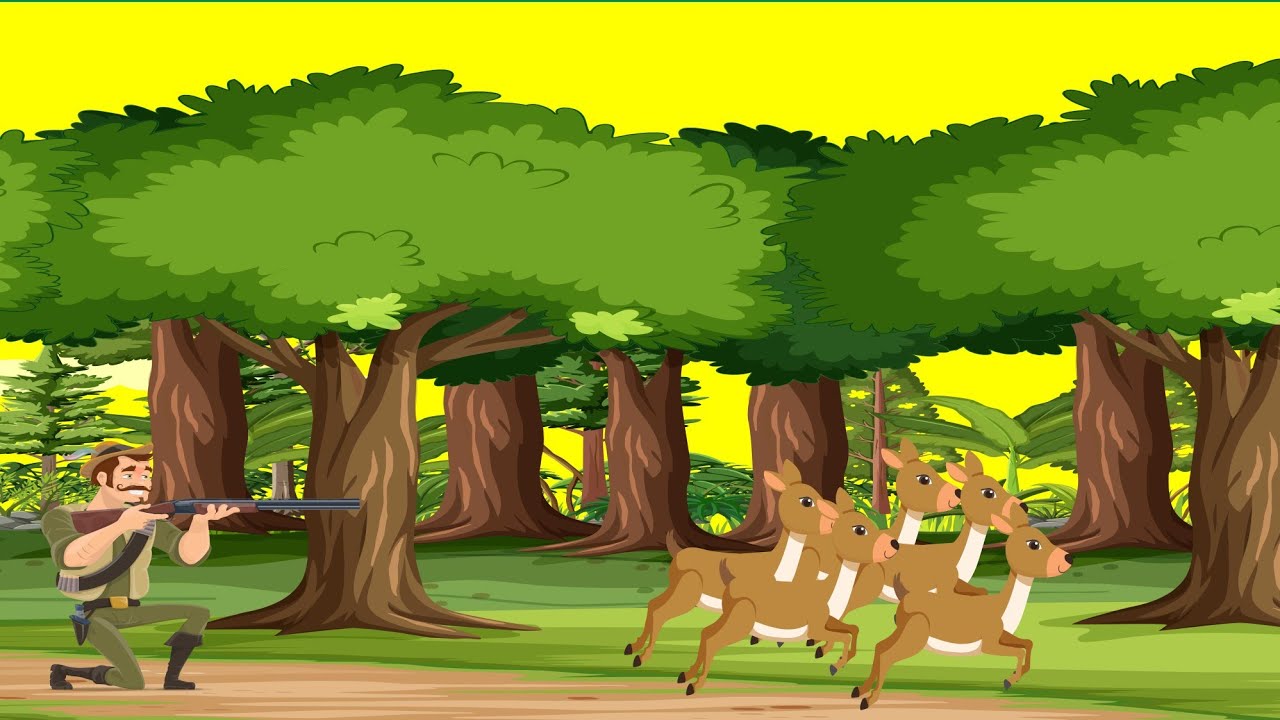 বোকা হরিণ চালাক শিয়াল Fox animation । Bangla cartoon chobi। kids ...