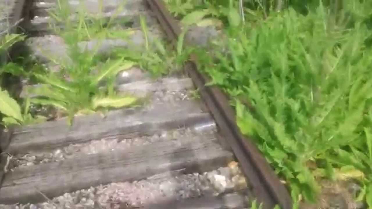 Exploring Abandoned Railroad Tracks - Carol Stream, IL - YouTube