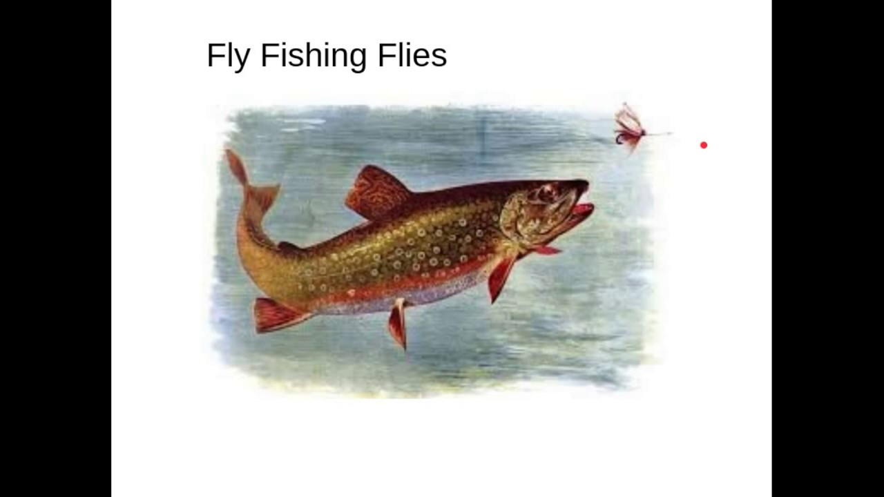 Unit 3-2-3 Using Fly Fishing Flies - YouTube