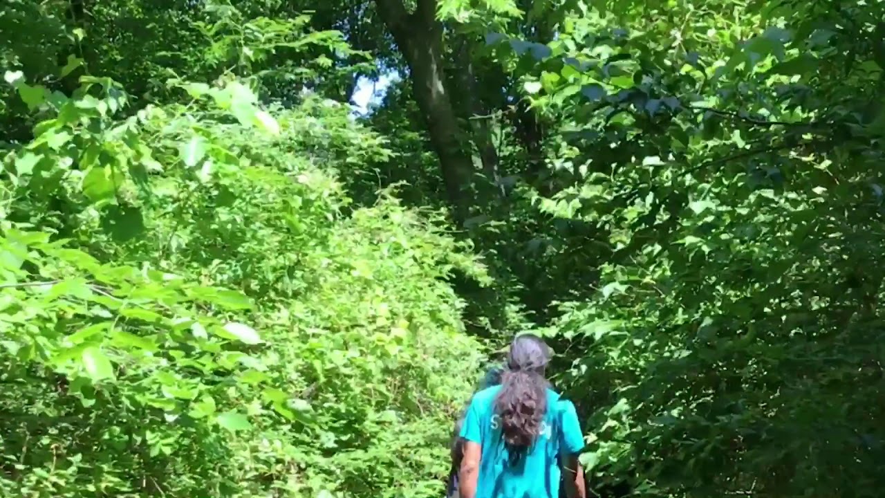 Ducky films - YouTube