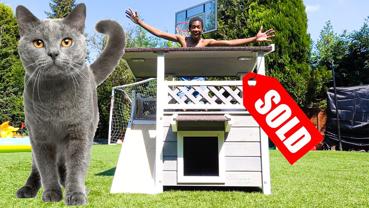 WE BOUGHT OUR CAT A MANSION!! - YouTube