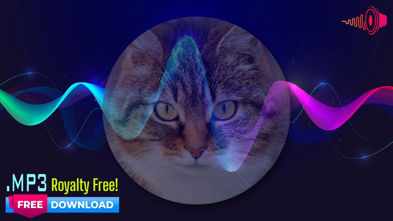 Cat Kitten Purring Noise Sound Effect - YouTube