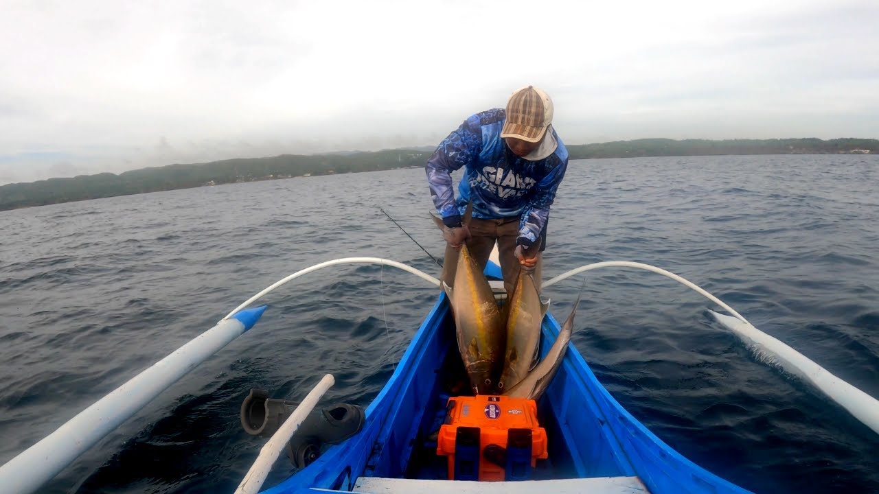 Triple Treat || Feeding Frenzy || Three Amberjacks || Morning Vertical ...