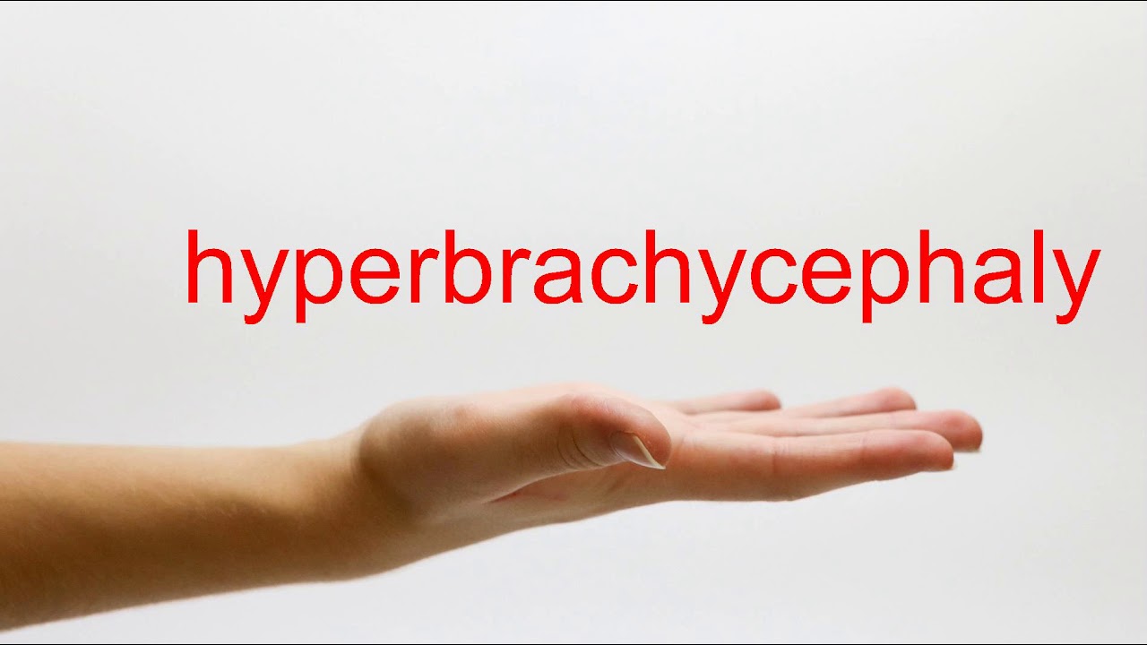 How to Pronounce hyperbrachycephaly - American English - YouTube