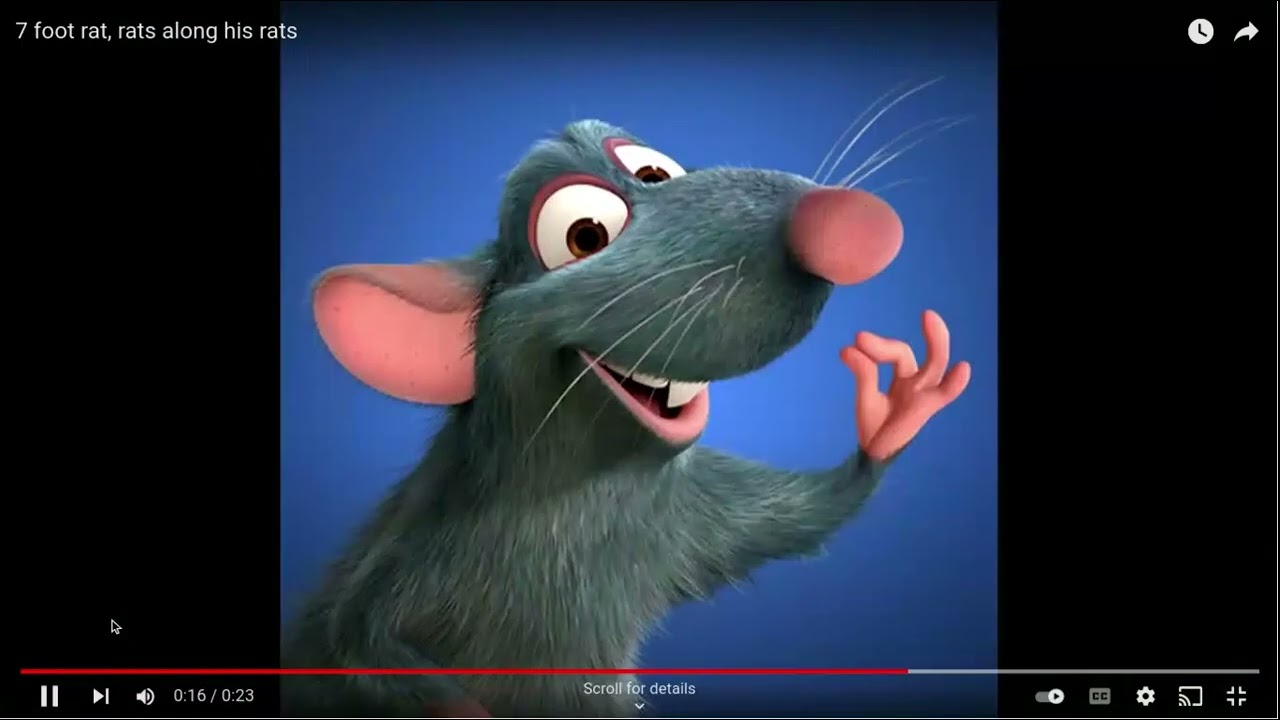 7 foot rats (without sound) - YouTube