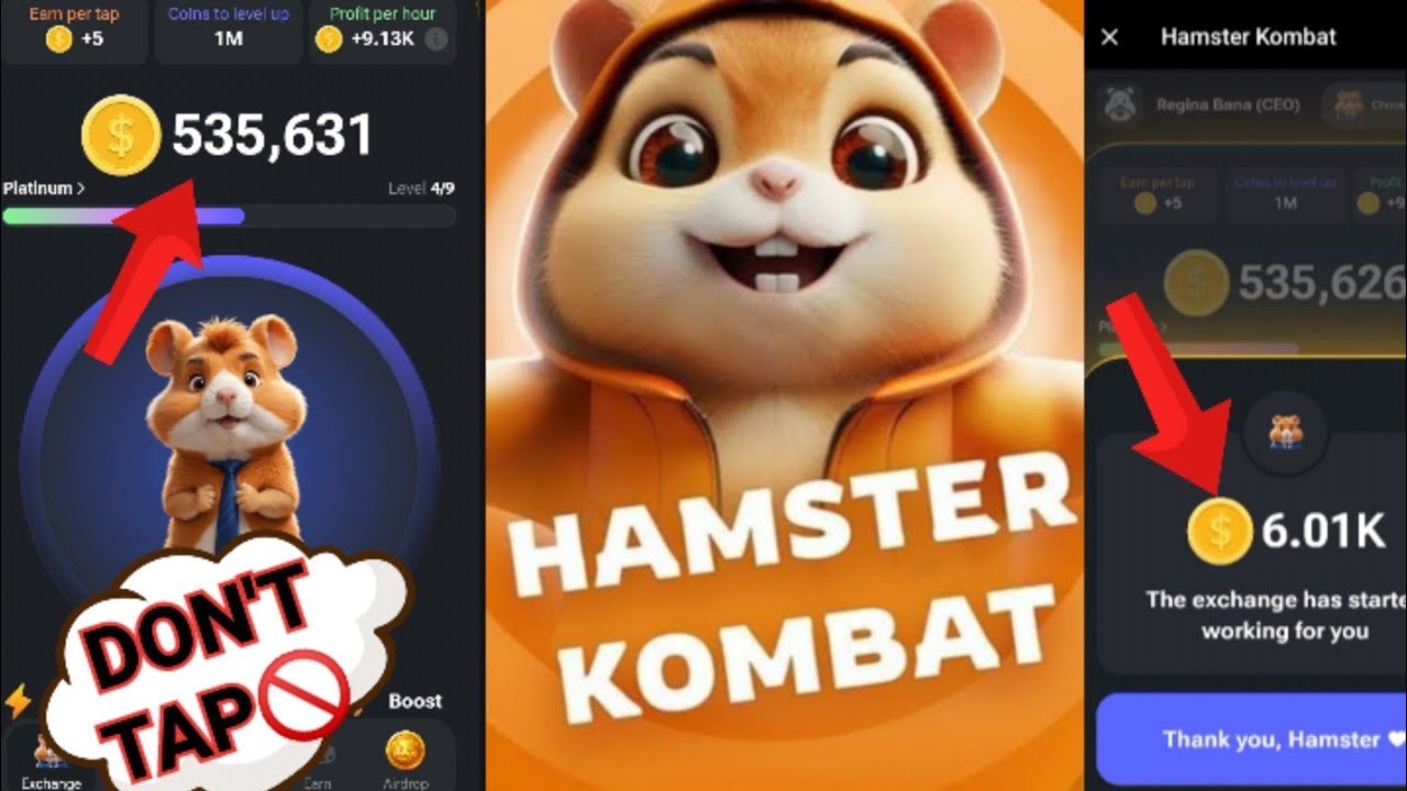 NEW METHOD!!! DON'T TAP🚫 How To Earn HAMSTER KOMBAT Coins Without ...
