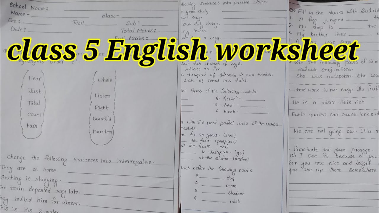 Class 5 English worksheet/English worksheet for class 5/ - YouTube
