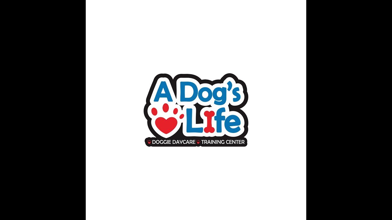 A Dog's Life - YouTube