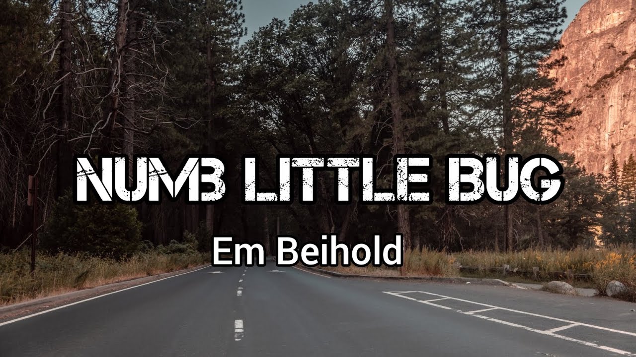 Numb Little Bug(Lyrics) Song By Em Beihold#lyrics#music - YouTube
