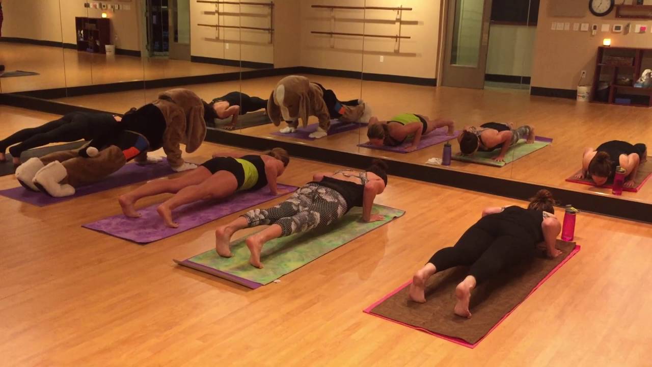 Bosley at Soul Sweat Hot Yoga - YouTube