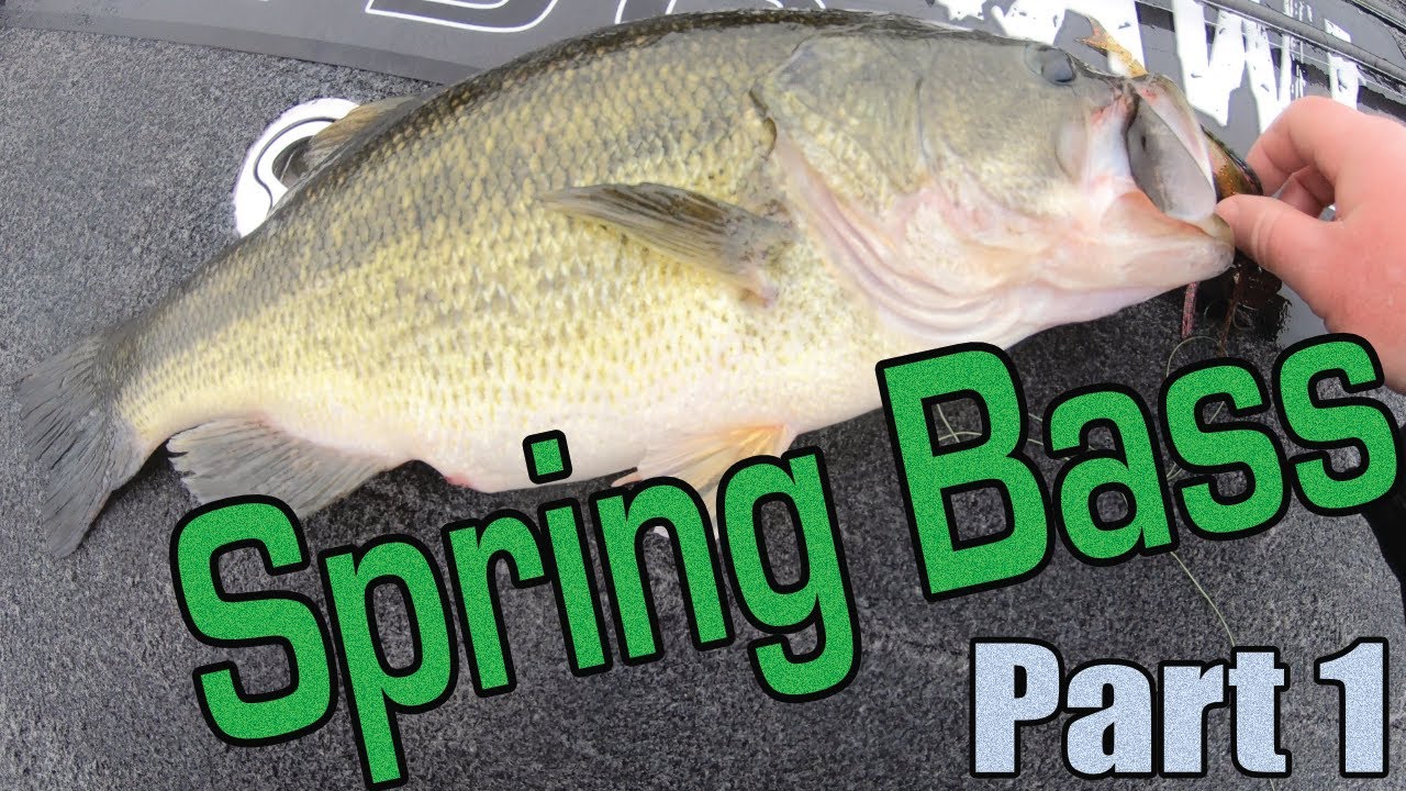 How to Catch Early Spring Largemouth Bass - Fishing Tips (Part 1) - YouTube
