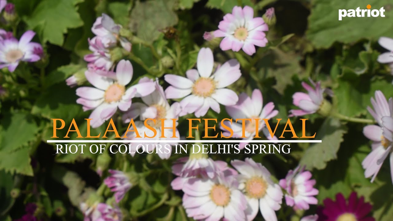 Palaash Festival - Riot of colours in Delhi's Spring - YouTube