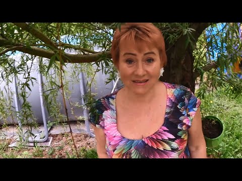 ВЛОГ. ДЕНЬ РОЖДЕНИЯ! ТАКОЙ НЕЗАБЫВАЕМЫЙ! ВИРУС ЛЮБВИ!